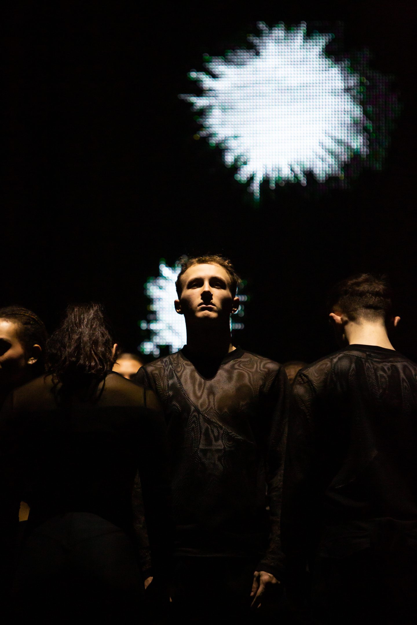 Application admissions - Shockout