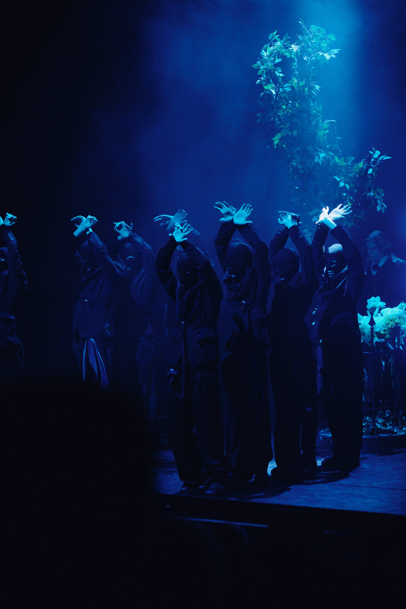 Arts (Degrees) - Shockout