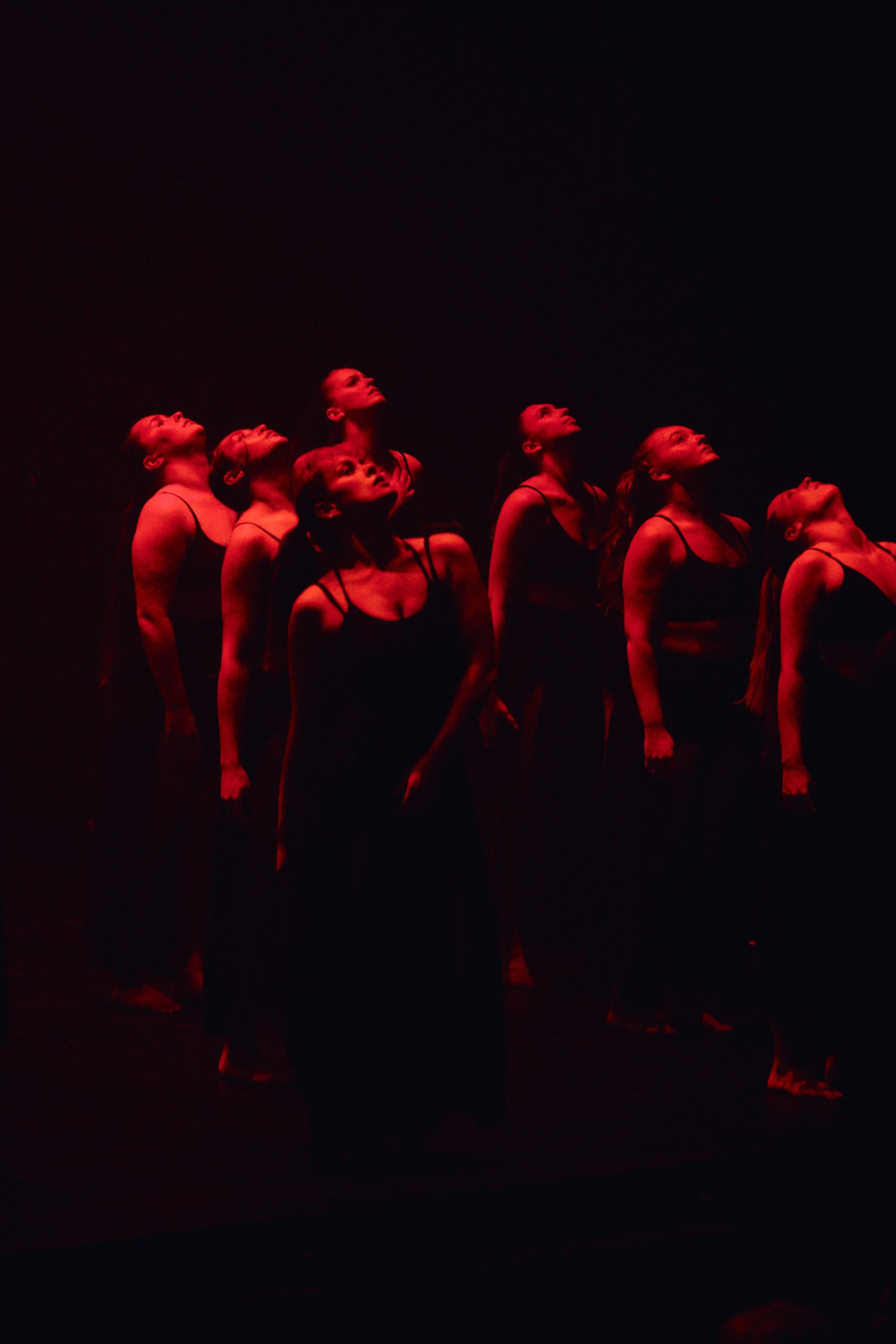 Apply Now - Shockout